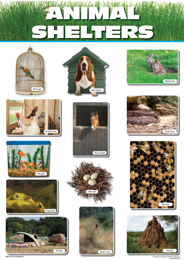 CHART: ANIMAL SHELTERS A2 (FLAT) – Elex Academic Bookstore