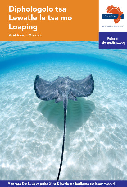 "Via Afrika Setswana Home Language Intermediate Phase Graded Reader 22 ...