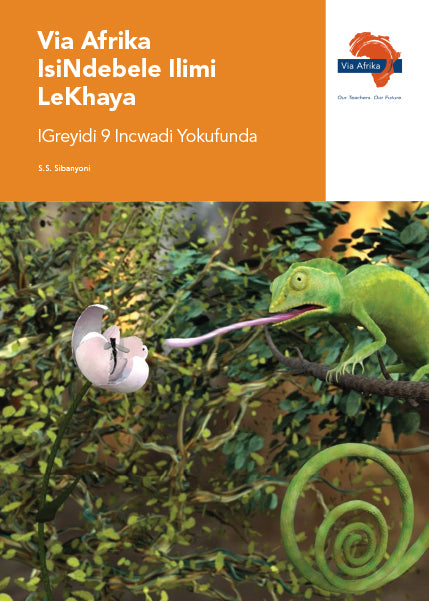 "Via Afrika isiNdebele Home Language Grade 9 Reader Content: Iinolwani ...