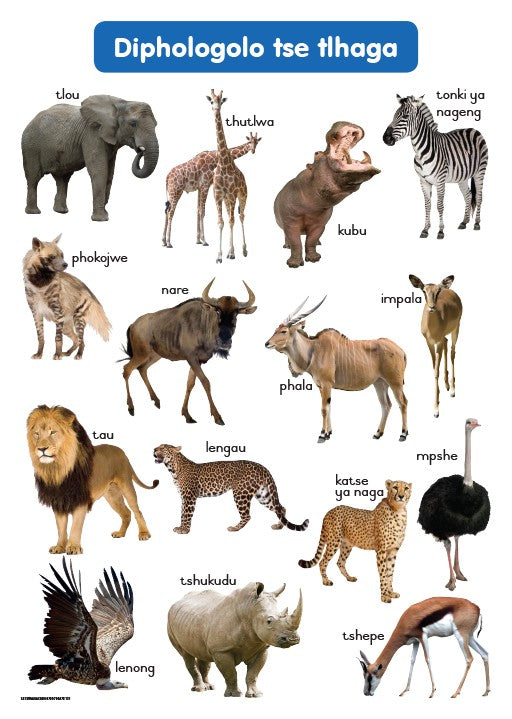 CHART: HAND IN HAND GR R SETSWANA - DIPHOLOGOLO TSE TLHAGA A2 – Elex ...