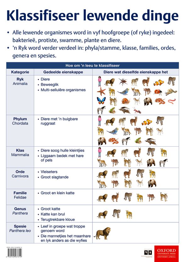Poster Natuurwetenskappe: Klassifiseer lewende dinge – Elex Academic ...