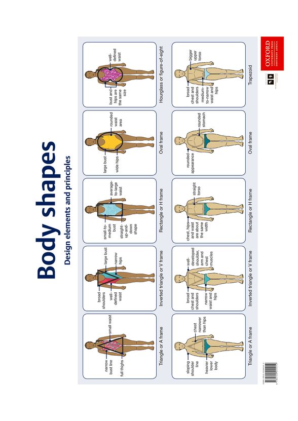 Poster Pack: CS: Poster 07 - Body shapes – Elex Academic Bookstore