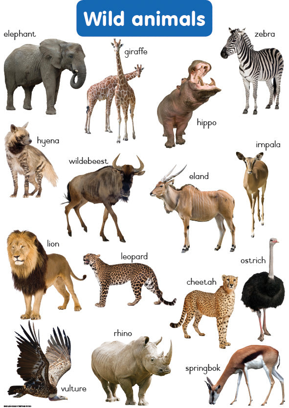 CHART: SHUTERS HAND IN HAND GR R: WILD ANIMALS A2 – Elex Academic Bookstore