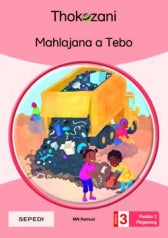 THOKOZANI SEPEDI GRADE 3: MAHLAJANA A TEBO – Elex Academic Bookstore