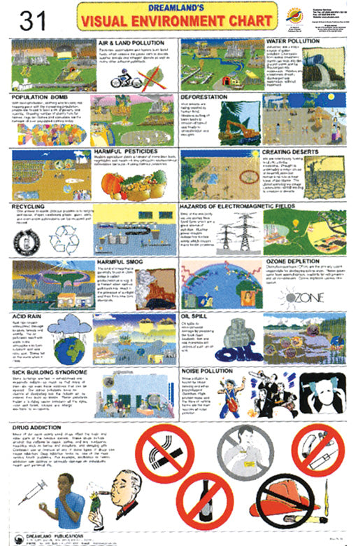 CHART: VISUAL ENVIROMENT CHART A2 – Elex Academic Bookstore