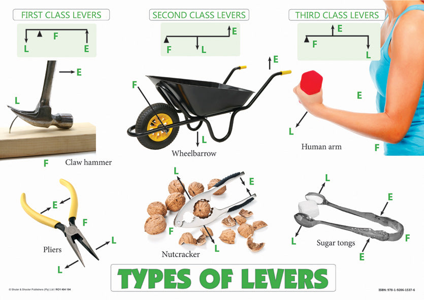 CHART: TYPES OF LEVERS A2 (FLAT) – Elex Academic Bookstore