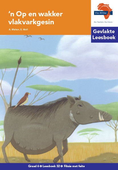 "Via Afrika Afrikaans Huistaal Intermediêre Fase Gevlakte Leesboek 32 ...